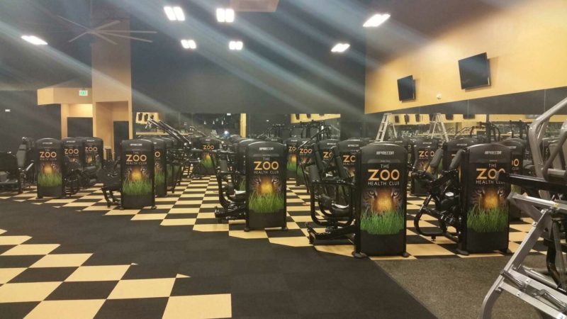 Home 2025 - Zoo Health Club